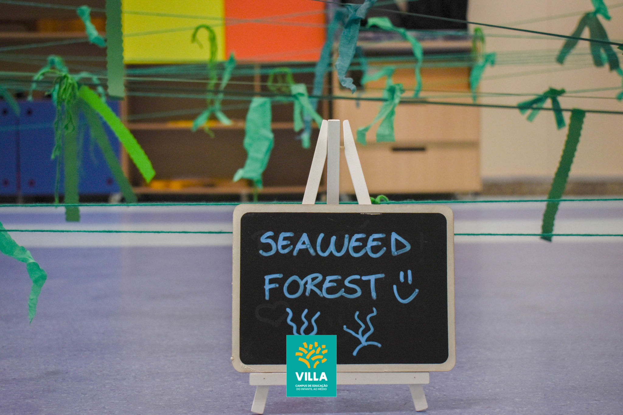 Seaweed Forest - Grupo 5 A e B da Educação Infantil - Villa | Campus de ...